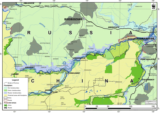 Amur-Heilong River Basin: Overview of Wetland Resources | SpringerLink