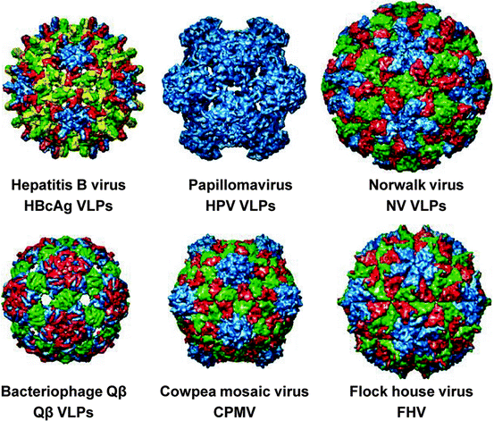 Design of Novel Vaccines Based on Virus-Like Particles or Chimeric ...