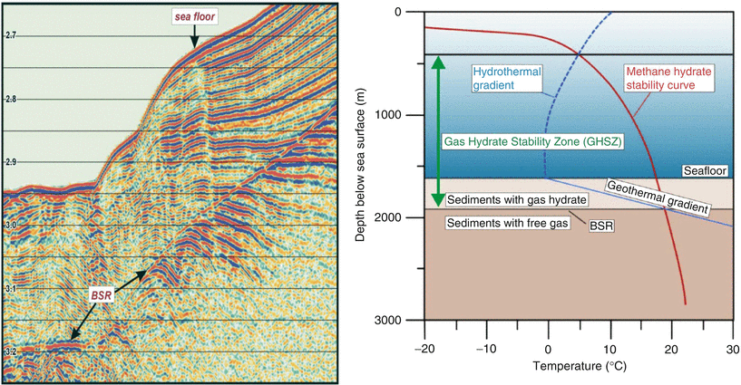 Bottom-Simulating Seismic Reflectors (BSRs) | SpringerLink