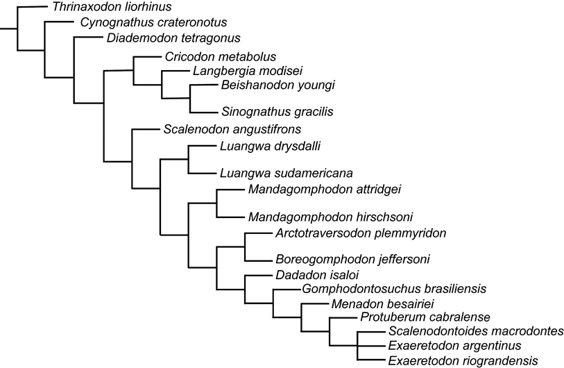 Phylogeny and Taxonomy of the Traversodontidae | SpringerLink