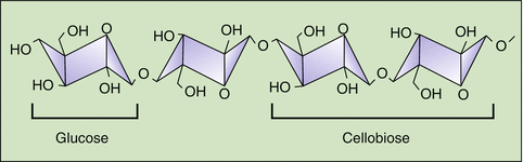 Chemical Composition and Structure of Natural Lignocellulose | SpringerLink