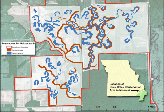 Wetland Design and Development | SpringerLink