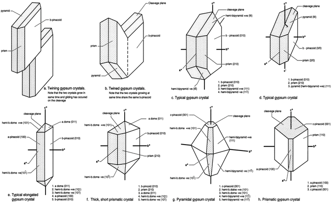 Gypsum Crystals Formation and Habits, Umm Said Sabkha, Qatar | SpringerLink