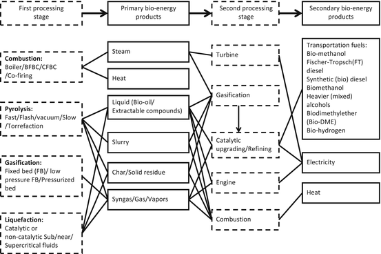 Biomass Conversion to Bioenergy Products | SpringerLink