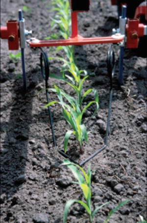 Automated Mechanical Weeding | SpringerLink