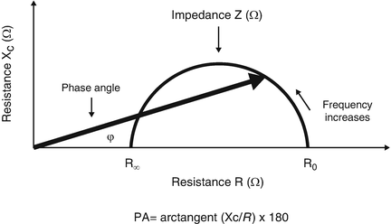 Phase Angle Bioelectrical Impedance Analysis (BIA) as a Biomarker Tool ...