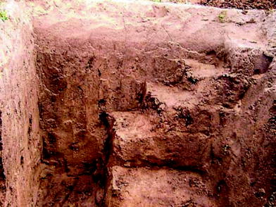 Alluvial and Deluvial Soils | SpringerLink