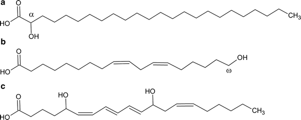 Hydroxy Fatty Acid | SpringerLink