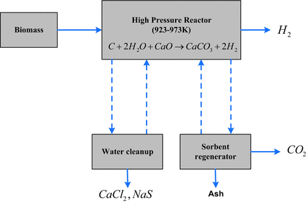 Hydrogen Production from Biomass Gasification | SpringerLink