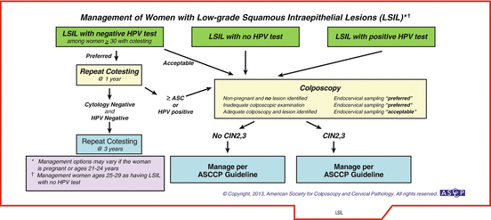 Cervical Cancer Screening After 2008 | SpringerLink
