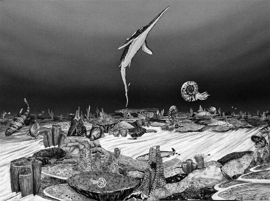 Reefs Through Time: An Evolutionary View | SpringerLink