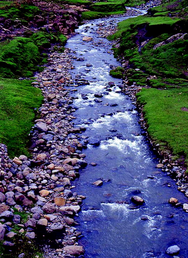 Ethiopian Rivers | SpringerLink