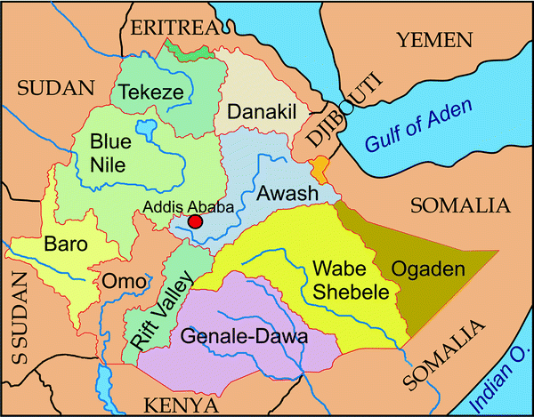 Ethiopian Rivers | SpringerLink