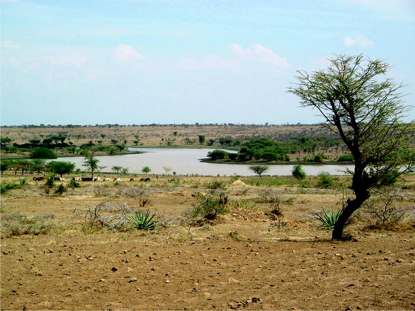 Ethiopian Rivers | SpringerLink