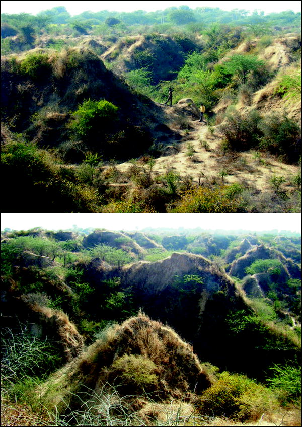 The Chambal Badlands | SpringerLink