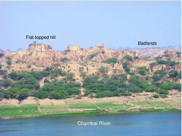 The Chambal Badlands | SpringerLink