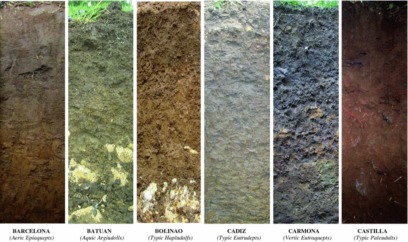 The Soils of the Uplands | SpringerLink