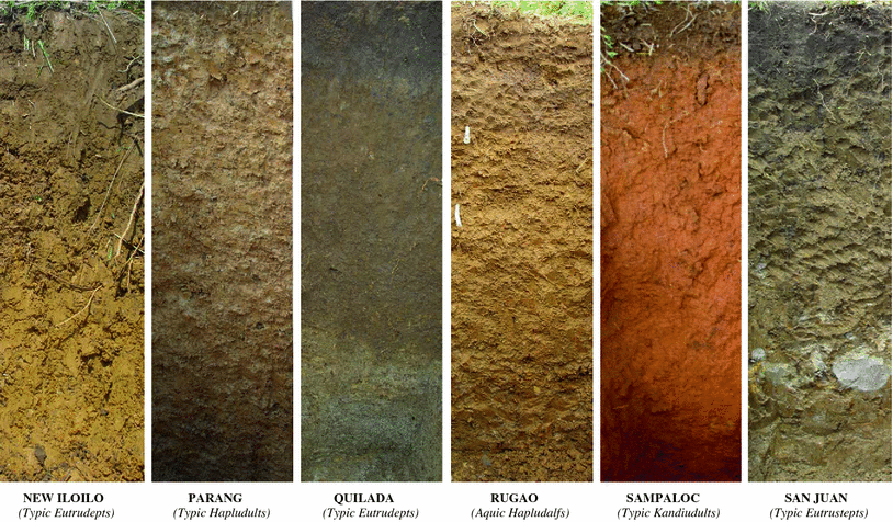 The Soils of the Uplands | SpringerLink