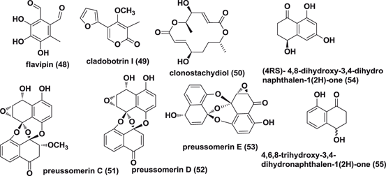 Nematode-Toxic Fungi and their Nematicidal Metabolites | SpringerLink
