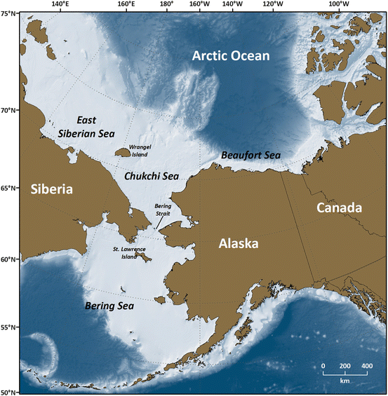 The Pacific Arctic Region: An Introduction | SpringerLink