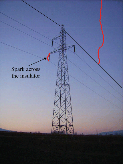 Direct and Indirect Effects of Lightning Flashes | SpringerLink