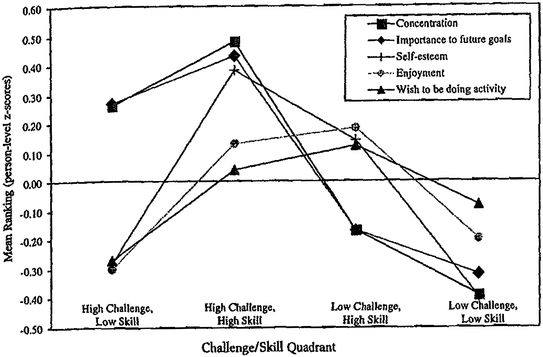 The Concept of Flow | SpringerLink