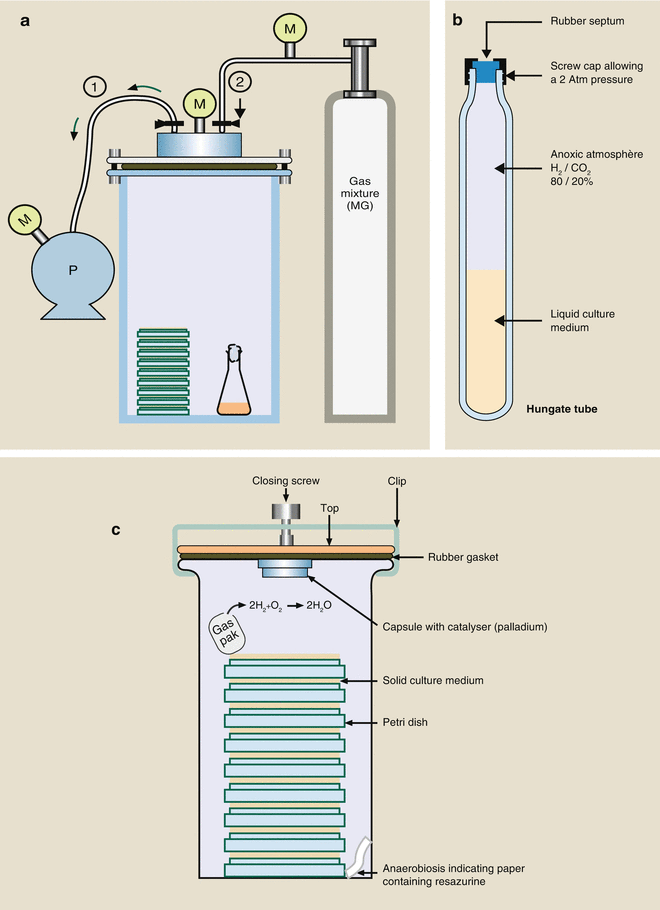Methods for Studying Microorganisms in the Environment | SpringerLink