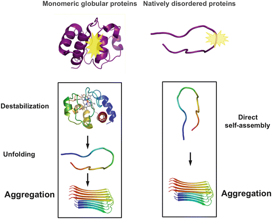 Protein Aggregation and Its Prediction | SpringerLink