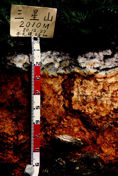 Spodosols | SpringerLink