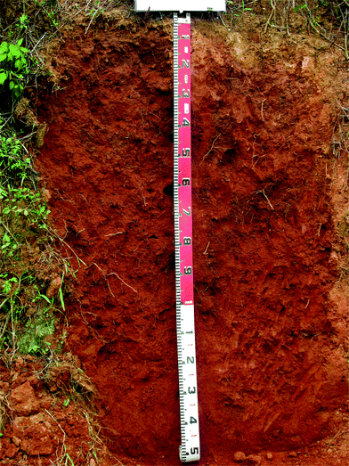 Oxisols and Ultisols | SpringerLink