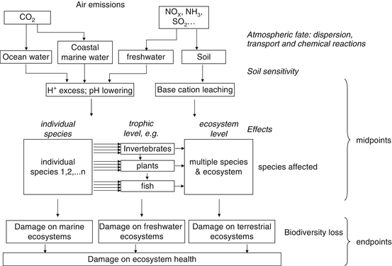 Acidification | SpringerLink