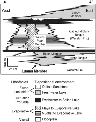 Initiation of Eocene Lacustrine Sedimentation in the Greater Green ...