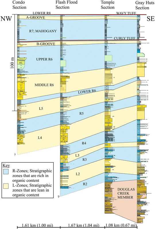 Facies, Stratigraphic Architecture, and Lake Evolution of the Oil Shale ...