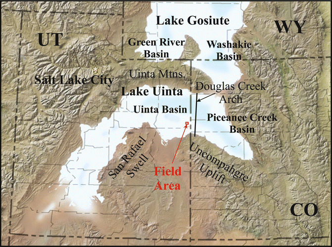 Facies, Stratigraphic Architecture, and Lake Evolution of the Oil Shale ...