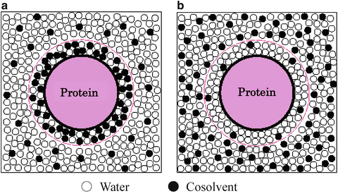 Volume and Compressibility of Proteins | SpringerLink
