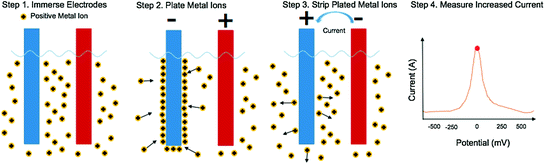 Sensors and Devices for Heavy Metal Ion Detection | SpringerLink