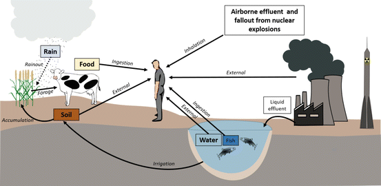 Health Risks Associated with Radionuclides in Soil Materials | SpringerLink