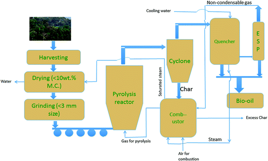 Fast Pyrolysis of Agricultural Wastes for Bio-fuel and Bio-char ...