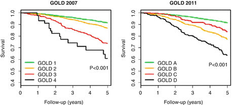 Definition of Chronic Obstructive Pulmonary Disease (COPD): Is the ...
