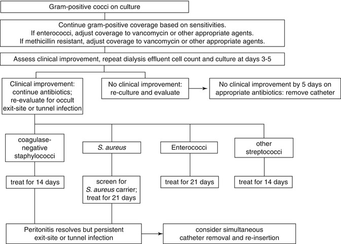 Peritonitis and Exit-Site Infection | SpringerLink