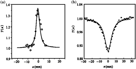 Optical Kerr Effect and Self-focusing | SpringerLink