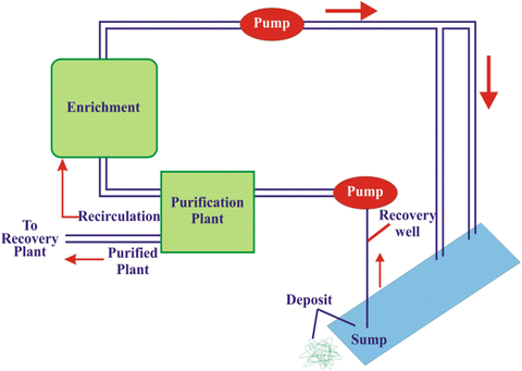 Bioleaching and Biomining | SpringerLink