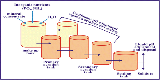 Bioleaching and Biomining | SpringerLink