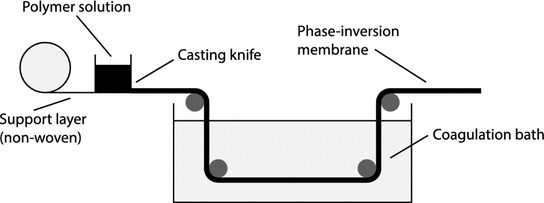 Fundamentals of Membrane Processes | SpringerLink