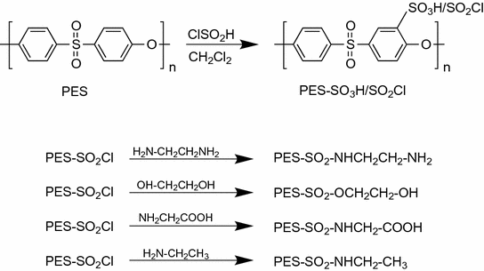 Surface Modification of Polyethersulfone Membranes | SpringerLink