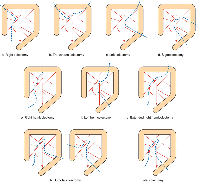 Basic Principles | SpringerLink