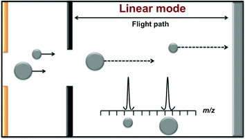 Principles and Mechanism of MALDI-ToF-MS Analysis | SpringerLink
