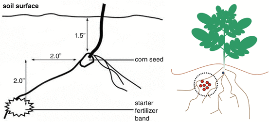 Application of Manures and Fertilizers | SpringerLink