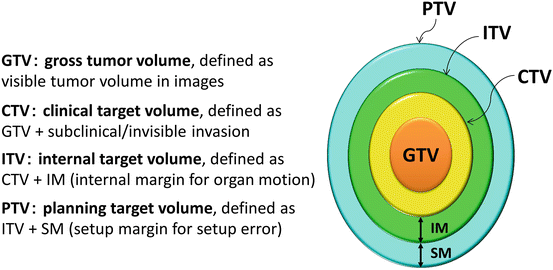 Computer-Assisted Target Volume Determination | SpringerLink
