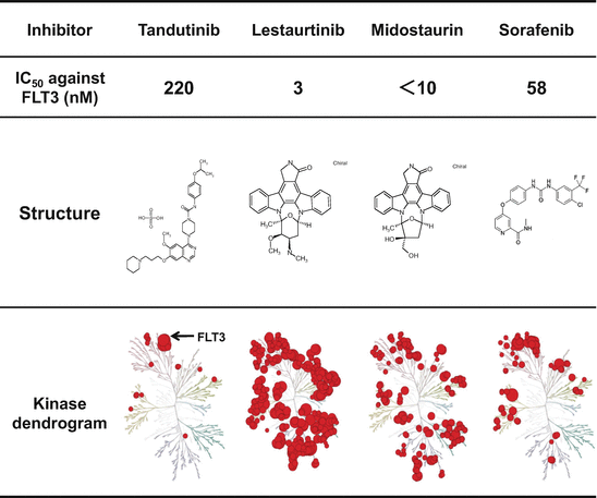 FLT3 Inhibitors | SpringerLink